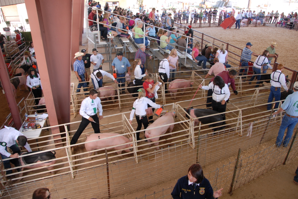 Photo Gallery - Yuma County Fairgrounds
