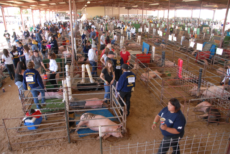 Photo Gallery - Yuma County Fairgrounds
