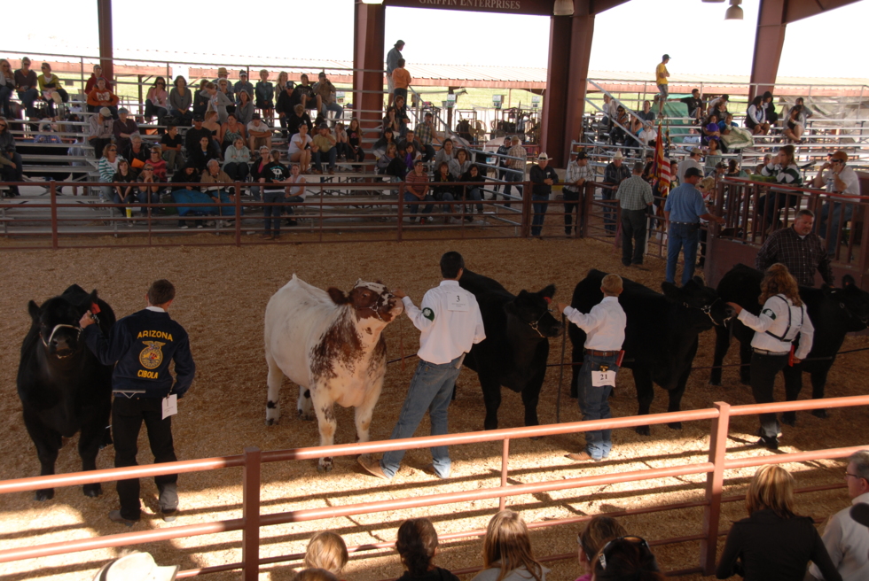 Photo Gallery - Yuma County Fairgrounds